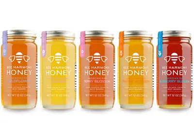 Bee Harmony American Raw Honey Variety Pack (340g X 5 Pack)